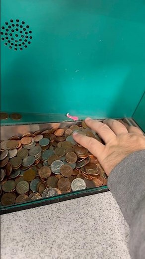 1009 PENNIES #shorts #money #coin #coins#walmart #collection #penny ‪@NEWYORKCITYCARS‬ #cash #moneytok