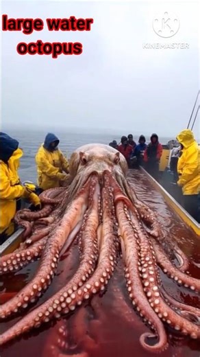 "Unveiling the Depths: The Astonishing Evolution of Prehistoric Deep Sea Monsters!"