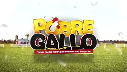 Pobre gallo: El amor y los miedos del capitulo 144