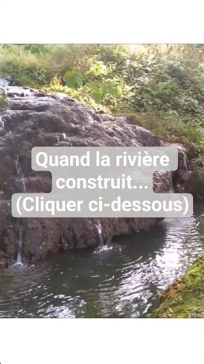 Calcaires et calcaire en milieu continental... #géologie #nature #roches #rivières