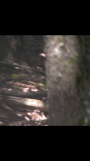 1.8K views · 40 reactions | ✨ Exciting news!  Our...