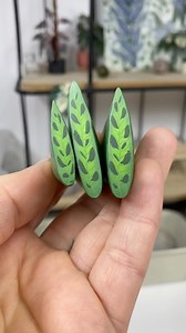 157K views · 20 reactions | Making my Calathea lancifolia polymer...