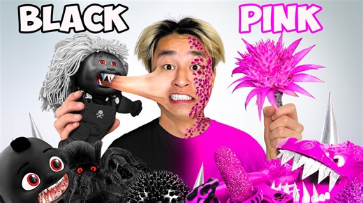 I Bought 100 Banned Black And Pink Amazon Products! | Topper Guild Vlog