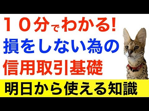 【信用取引】明日から使える損をしない為の基礎知識を10分で解説！