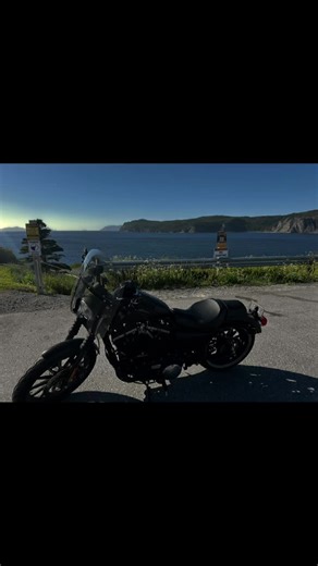 shellieleia (@shellieleia)’s videos with original sound - The Macarons Project