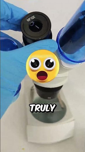 Potato chip under a microscope! 🦠🔬