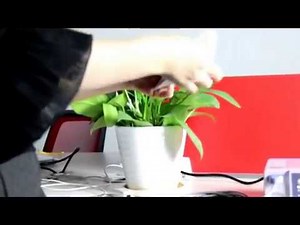 Nellcor Oximax Disposable SpO2 Sensor for N-600X