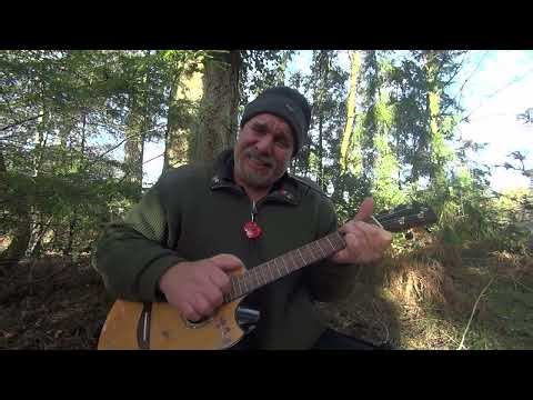 PERFECT BLUE BUILDINGS by Counting Crows. Baritone Ukulele Cover ,chords below ⬇️