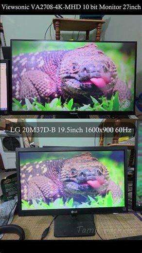 Color Correction Monitor vs Normal Monitor.
