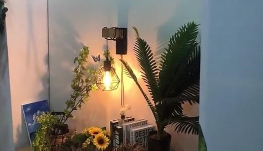 Farmhouse adjustable plug in wall lamp 