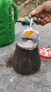 This Magic Potion Makes Plants Grow Overnight! Haldi se asa fertilizer tayar ka AP sari khadain bhul Jain gya گھر میں پری ہلدی سے حیران کن فوائد دینے والا فرٹیلائزرز تیار کریں #tmbaagh #gardening #organicgardening #fertilizer #reels #growing #weedsfertilizer | TM Baagh