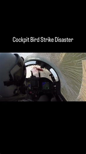Cockpit Bird Strike Disaster #aviation #jetworld