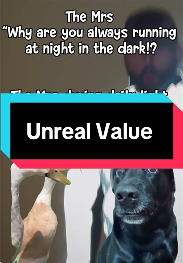 If your Mrs is anything like mine when you get in from work, you get a full download so you can only have a run at night when she’s asleep or first thing in the morning! Hard in January! be safe be seen get yourself a pro viz running jacket #mensfitness #menscycling #runnertok #runningsafety #runninggear
