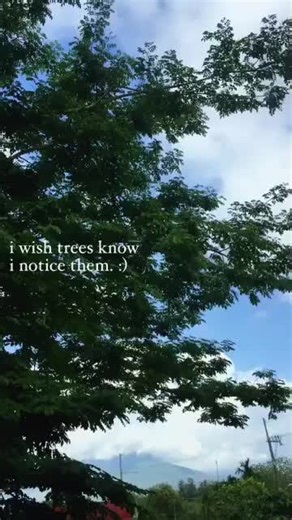 Catching Stars (@wecatchstars)’s videos with Pear Trees - skyswimming & after noon