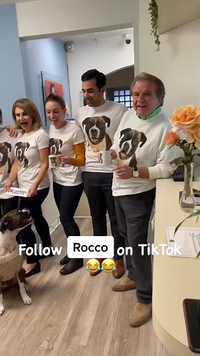 Meet Rocco: The Famous Brindle Boxer Dog in Custom Tees
