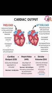 Cardiac Output. | Kamran Ahmad