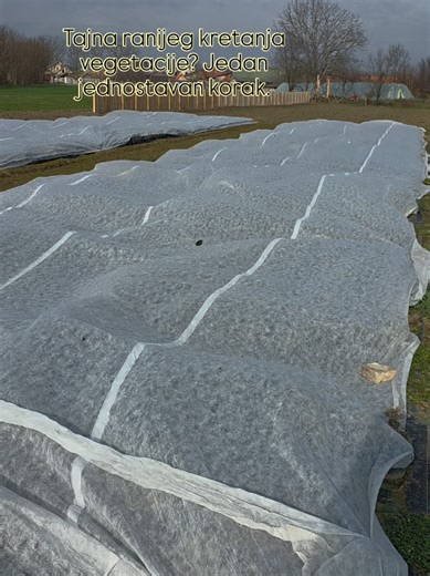 Neke sadnice smo pokrili agrilom kako bi im obezbedili bolje uslove i pomogli da ranije krenu sa vegetacijom. Nije neophodno da se pokrivaju — priroda će odraditi svoje — ali kada želite jači start i ujednačen rast, ovakvi detalji prave razliku. U rasadniku verujemo da kvalitet ne nastaje slučajno. On se gradi kroz male korake, pažnju i razmišljanje unapred. 🌿 Rasadnik Vitorović Vizija koja raste. #rasadnikvitorovic #sadnice #poljoprivreda #uzgojbiljaka