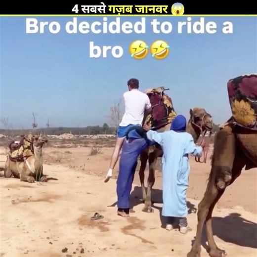 जानवरों के Funny कारनामें देखकर 🤯 हंसी नहीं रोक पाओगे 😂 | #shorts #viral #animals #comedy #funny