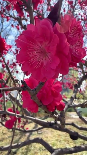 Embrace Spring with Beauty: Spring Exchange Awaits