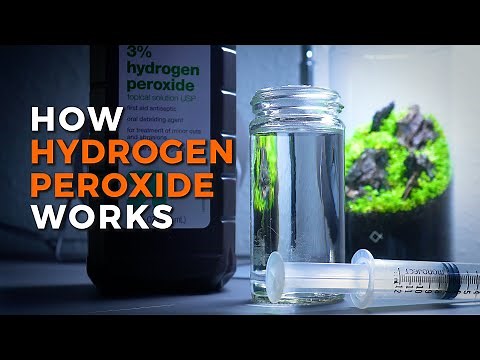 Hydrogen Peroxide for Algae Control in the Aquarium