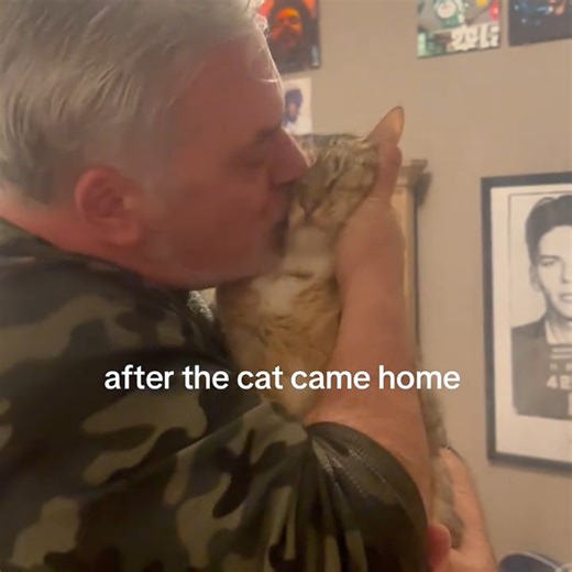 Cat A Day on Instagram: "Who else's dad didn't want a cat? 😹 Watch till the end to see the change! #catlovers #dadsandcats #losangelescats 🐾 Cat-A-Day: Bringing you the funniest cat chaos every single day! Follow @CatADay to join the clowder. ✨ 📺 Full video on our YouTube! https://www.youtube.com/@CatADayOfficial #losangeles #lacats #funnycats #dramaticcat #hollywoodlife #catlover #instacats #virałreels #catsofla #hollywoodcat #catdrama #funnypets"