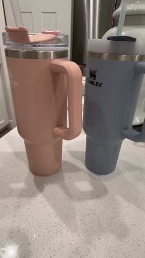 Stanley Tumbler: The Ultimate Chapstick Holder