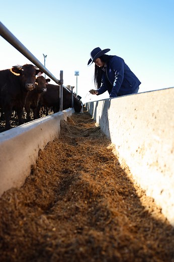 Debunking Common Feed Testing Myths A common misconception is that feed testing is only necessary for low-quality forage, but testing is essential for all types of feed. Even hay or silage that looks premium can vary widely in nutrient content depending on factors like: 🌾 Harvest stage 🌿 Fertilization ☀️ Weather conditions 🏚️ Storage practices Feed testing isn’t just a troubleshooting step — it’s a precision management tool that helps you build balanced rations and make informed nutrition dec