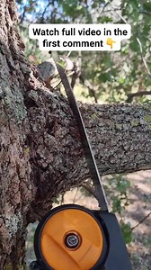 Learn a clever way to stretch your gardening budget. Using logs, leaves, and compost creates rich, affordable soil that supports healthier plants all season long. | Bee becca