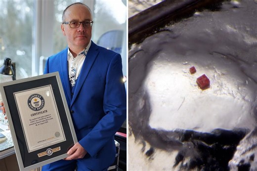 ‘Micro artist’ creates world’s tiniest Lego block — the size of a human blood cell: ‘It blows your mind’