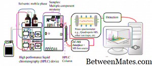 GC-MS y LC-MS - CIENCIA 2026