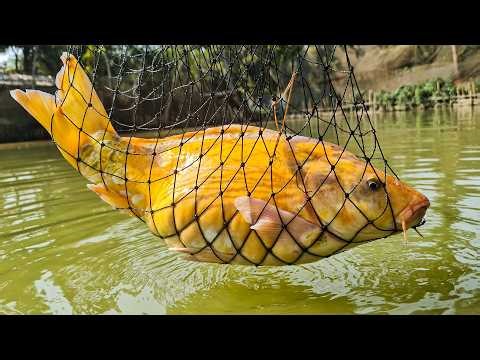 The REAL Reason Fishermen Don't Want You to Know About Cast Nets
