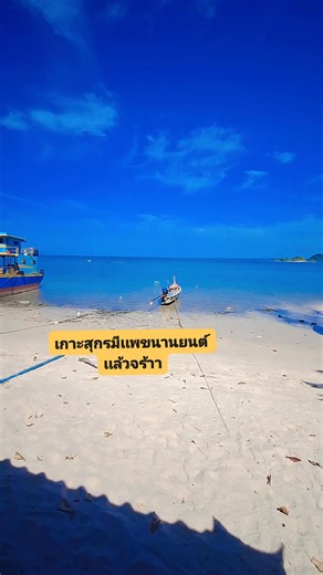 เกาะสุกรอัปเกรดแล้ว แพขนานยนต์มาแล้วจ้า👍 #เกาะสุกรบ้านเรา #สร้างรายได้จากคลิปเรียว | Piyamat Jitlang