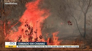 Cerrado tem o maior número de focos de incêndio desde 2012