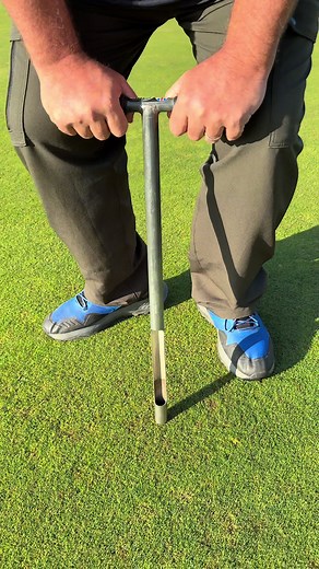 Using a soil sampler to inspect the soil. You can smell the soil- A fresh, earthy aroma suggests good microbial activity and organic matter breakdown #bowls