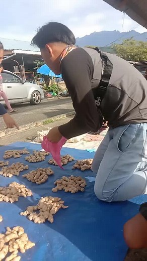 Peeling Ginger Root Tutorial for Beginners
