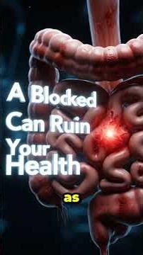 Digestive System Animation: From Esophagus to Colon Exploration