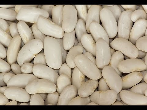 Cannellini Beans 101-Health Benefits