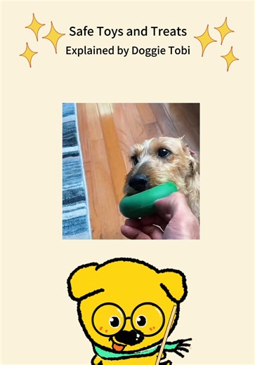 Dog Parents: Quick Check! Are your dog’s toys actually safe? #petlovetobi #fyp #dogparents #dogsoftiktok #dogtoy