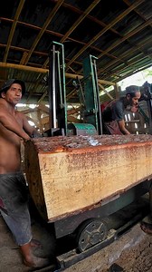 woodcutting machine | Sawmill & Woodworking