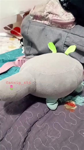 PEBLE ALIEN VOLVIO!! // dandys world #dandysworld #pebble