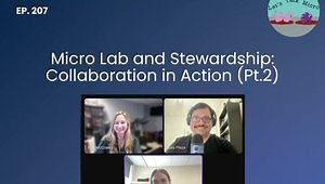 Antimicrobial Stewardship-Microbiology Lab Collaboration: From Communication to Implementation in Practice (Part 2)