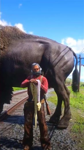 Nấu những món ăn rừng núi hoang dã p1776