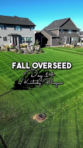 Fall Overseeding Tips for a Lush Lawn | Lawn Maintenance Guide