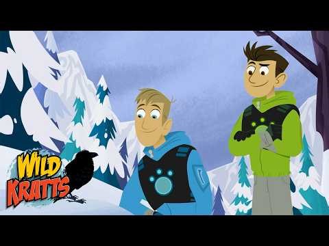 Ravens Mimicking Sounds | Creature Facts | Wild Kratts