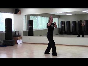 Tai Chi Long Form Section 2