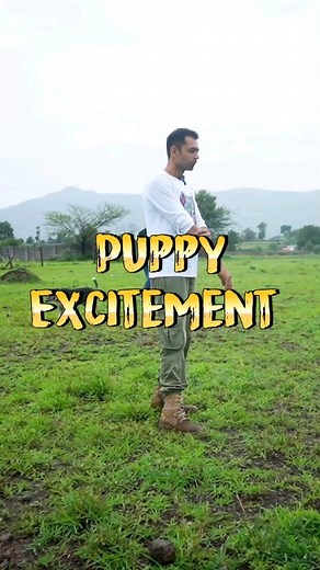 9.2K views · 916 reactions | Excitement is natural in puppies but jumping is not. Teaching them unconsciously to jump for affection leads to behavioral and health issues. Learning basic dog psychology is the way forward. Tag your friend who just got a puppy. | Oh My Dog | Facebook