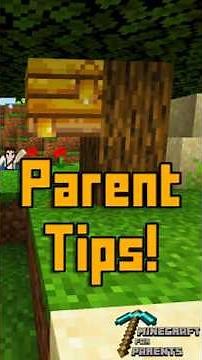Parents' Guide: What to Know about Minecraft