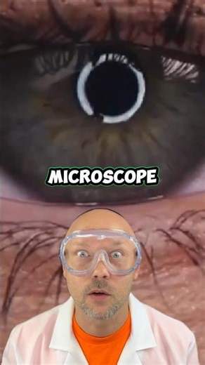 Things that look creepy under a microscope