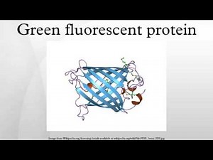 Green fluorescent protein
