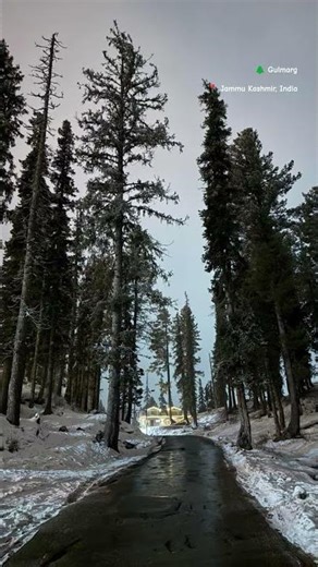🌲 Gulmarg📍 Jammu Kashmir, India #pincodetraveler #indiatravel